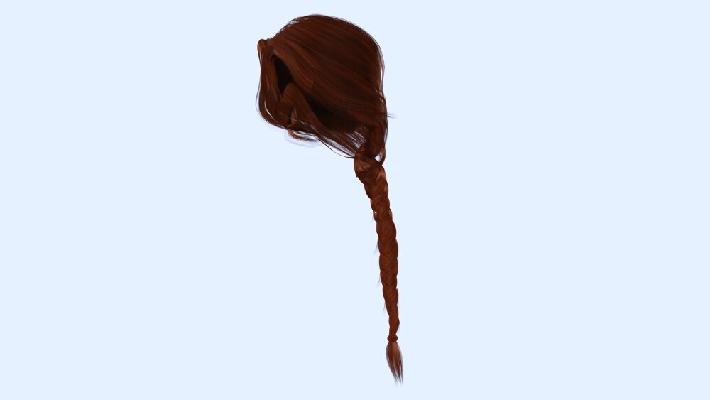 Long Thick Braid Hairstyle 3D model - Download Character on 3DModels.org