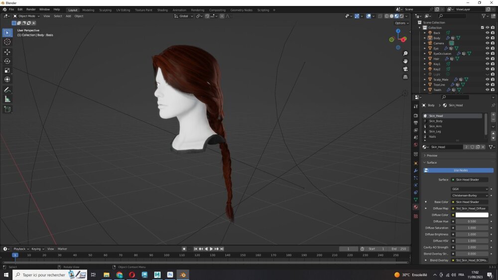 Long Thick Braid Hairstyle 3D model - Download Character on 3DModels.org