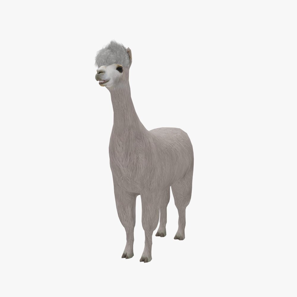 Llama Low poly 3D model - Download Mammals on 3DModels.org