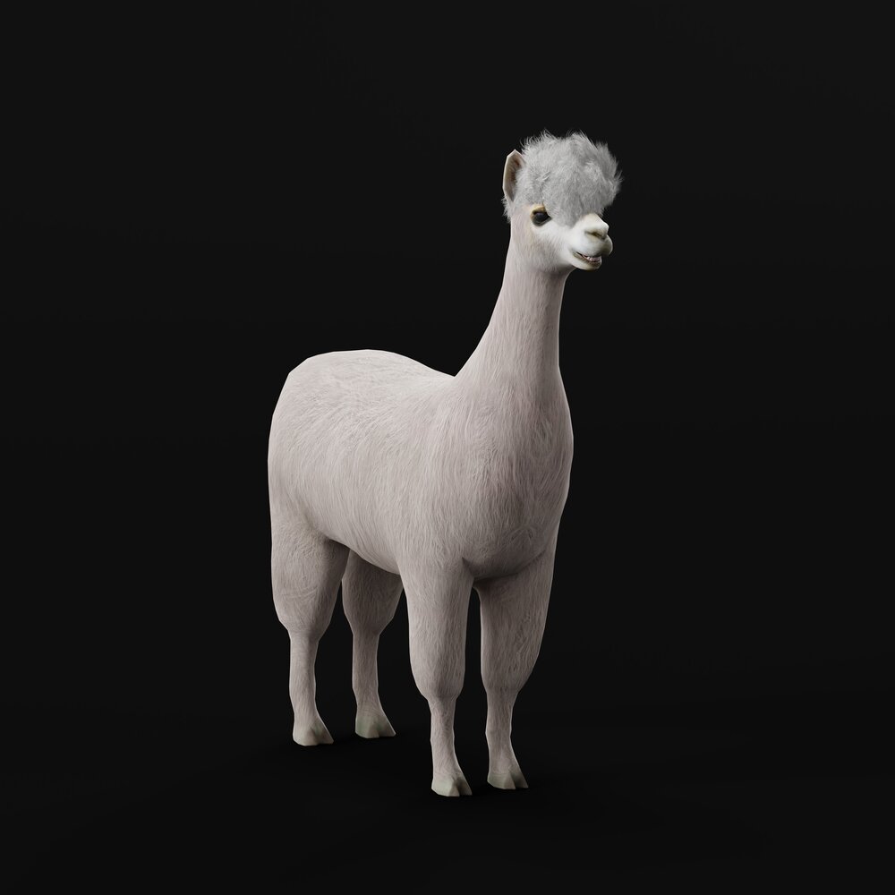 Llama Low poly 3D 모델 - 다운로드 포유류 on 3DModels.org