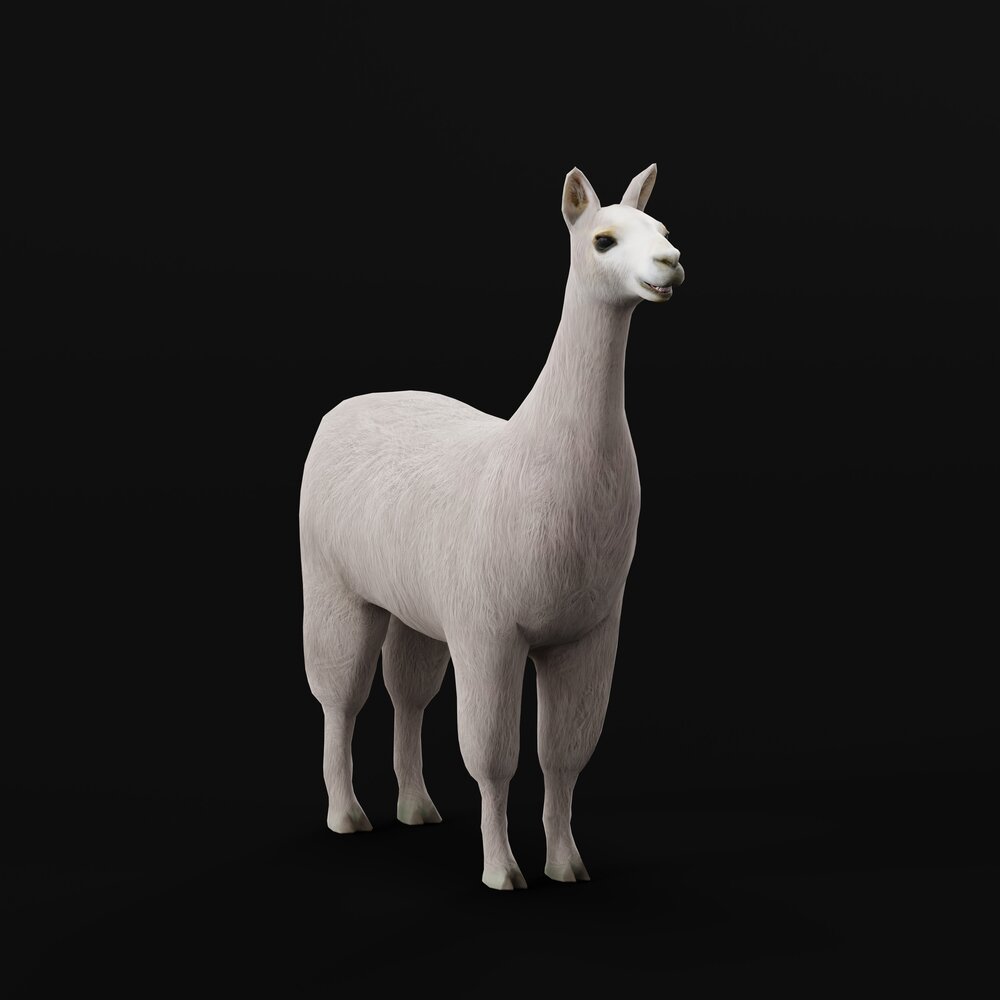 Llama Low poly 3D model - Download Mammals on 3DModels.org