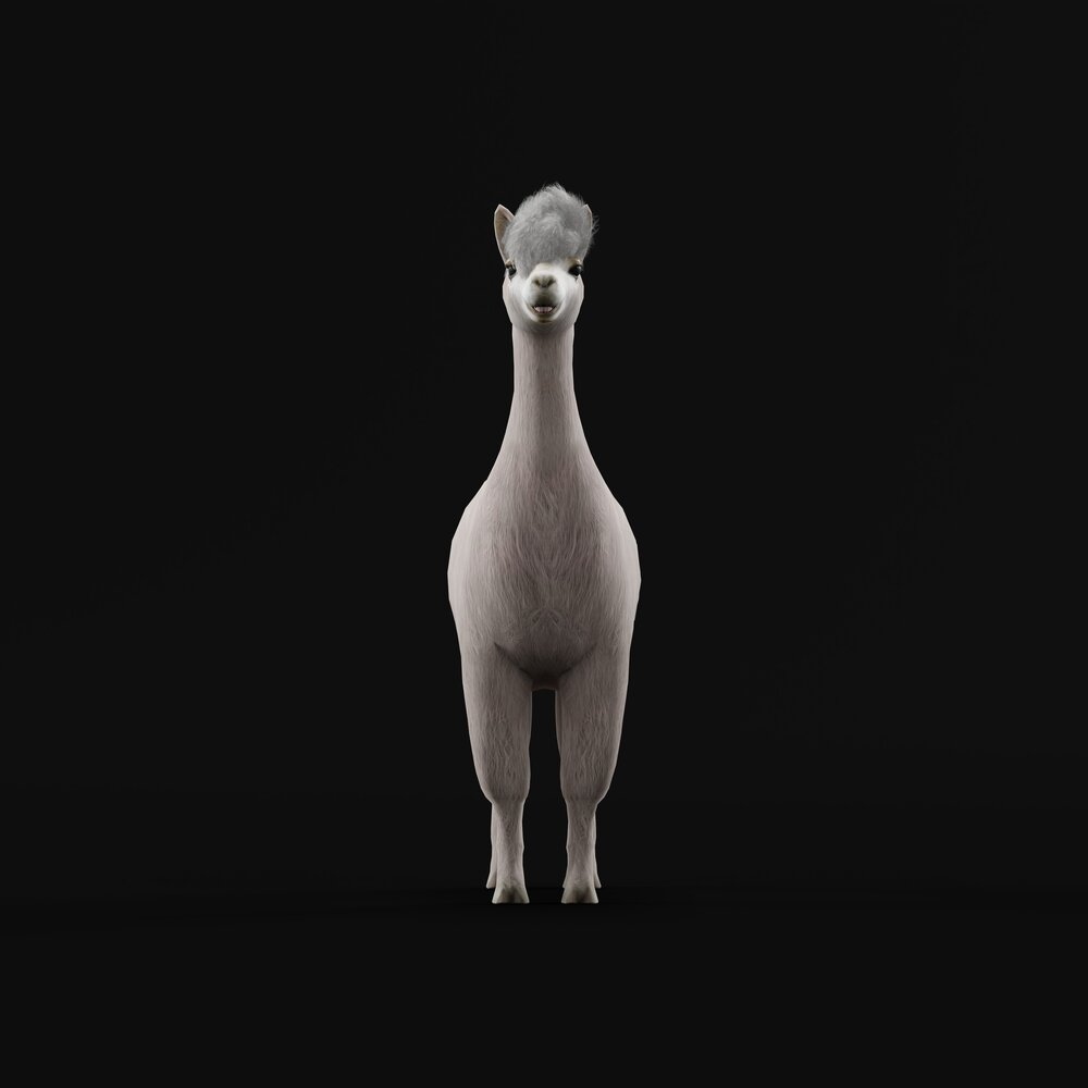 Llama Low poly 3D model - Download Mammals on 3DModels.org