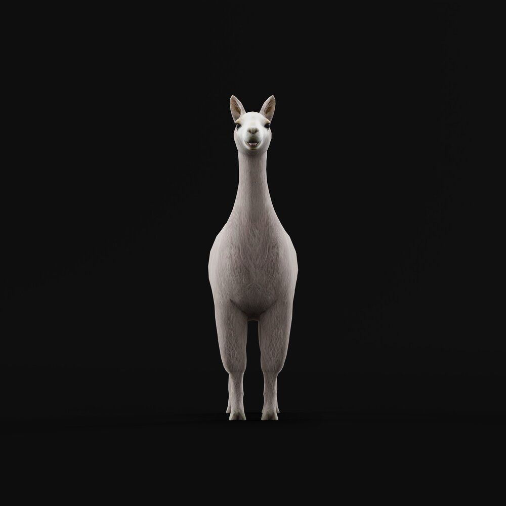 Llama Low poly 3D model - Download Mammals on 3DModels.org