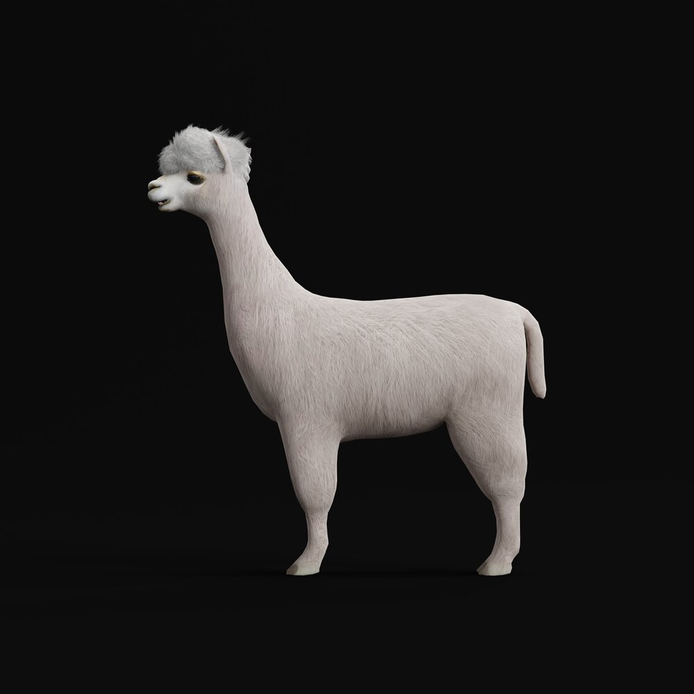 Llama Low poly 3D model - Download Mammals on 3DModels.org
