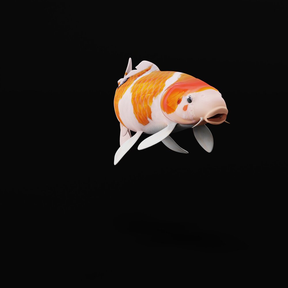 Nishikigoi Koi Fish Low poly 3D model - Download Fish on 3DModels.org