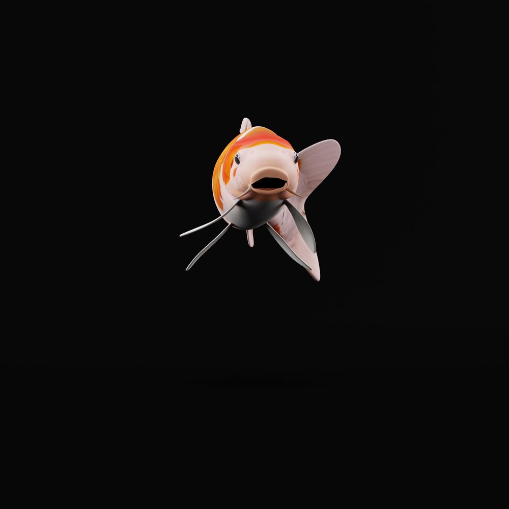 Nishikigoi Koi Fish Low poly 3D model - Download Fish on 3DModels.org