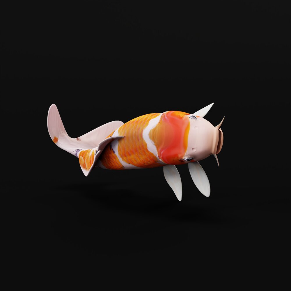 Pez Koi Nishikigoi Low Poly Modelo 3D - Descargar Pescados on 3DModels.org