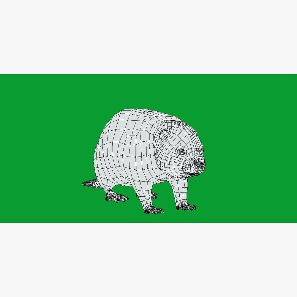 North American Beaver Low-poly 3D model - Download Mammals on 3DModels.org