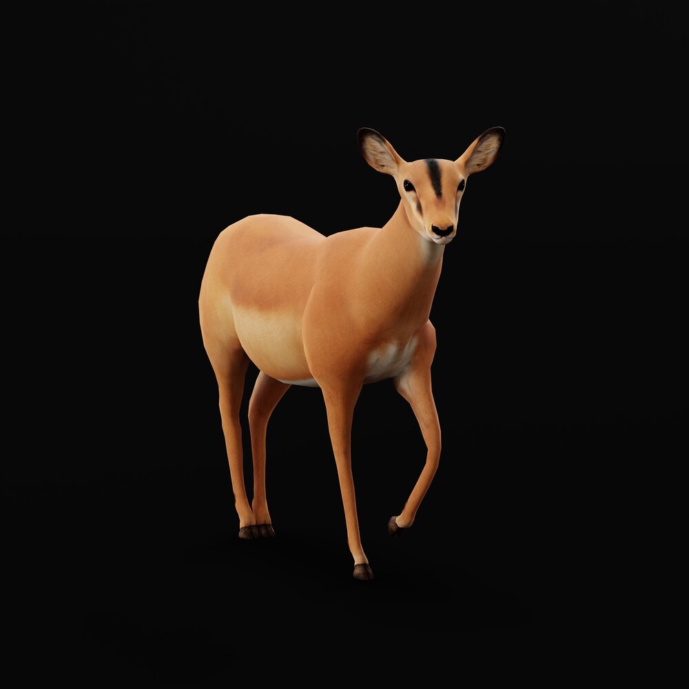 Black Faced Female Impala Low poly 3D model - Download on 3DModels.org