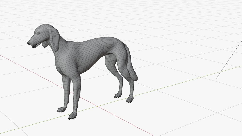 Saluki Persian Hound Dog 3D model - Download Mammals on 3DModels.org