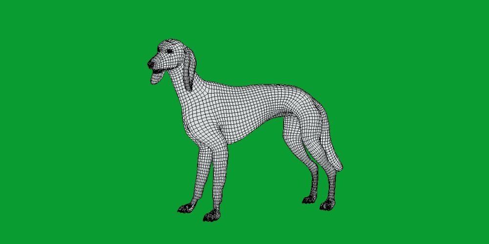 Saluki Persian Hound Dog 3D model - Download Mammals on 3DModels.org
