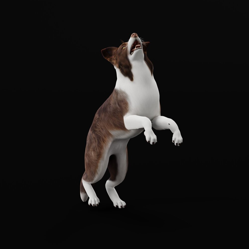 Border Collie Dog 3D model - Download Mammals on 3DModels.org