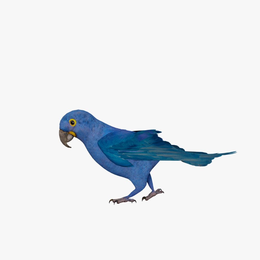Hyacinth Macaw Parrot Modelo 3D - Descargar Aves on 3DModels.org