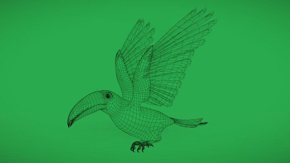 Keel Billed Toucan Bird 3D model - Download Birds on 3DModels.org