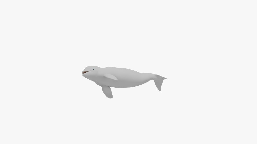 Beluga Whale 3D model - Download Marine Mammal on 3DModels.org