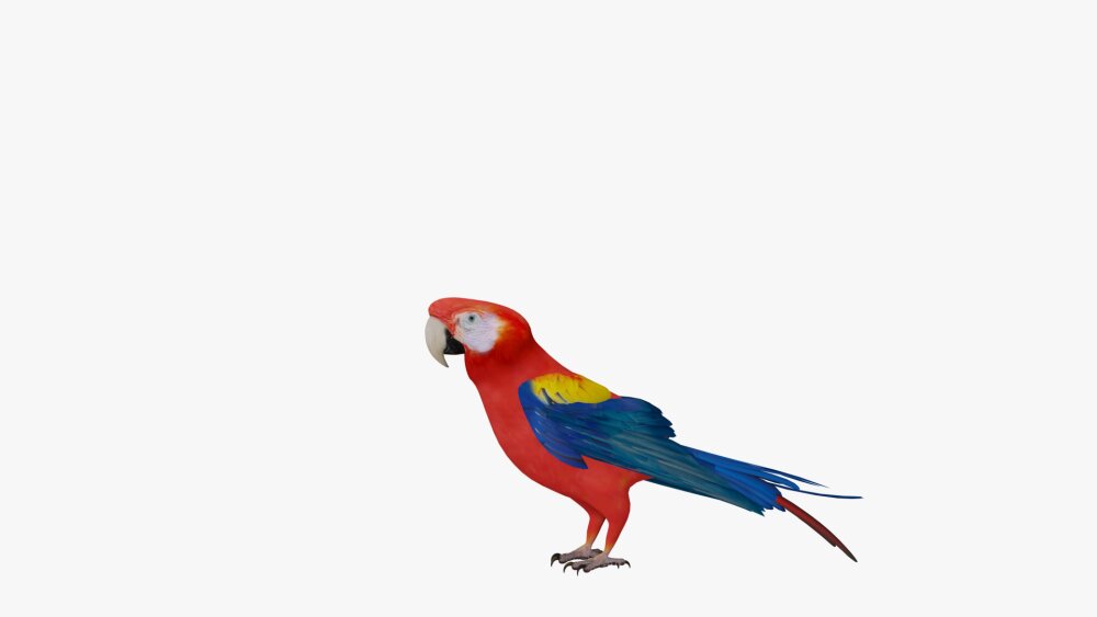 Scarlet Macaw Parrot Bird Modelo 3D - Descargar Aves on 3DModels.org