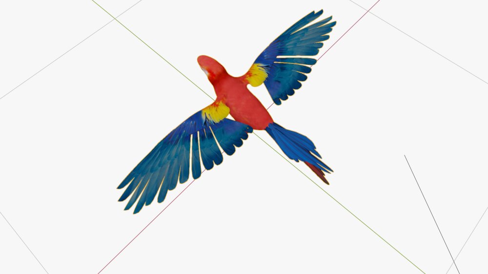 Scarlet Macaw Parrot Bird Modelo 3D - Descargar Aves on 3DModels.org