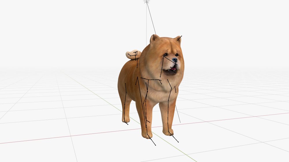 Chow Chow Dog 3D model - Download Mammals on 3DModels.org
