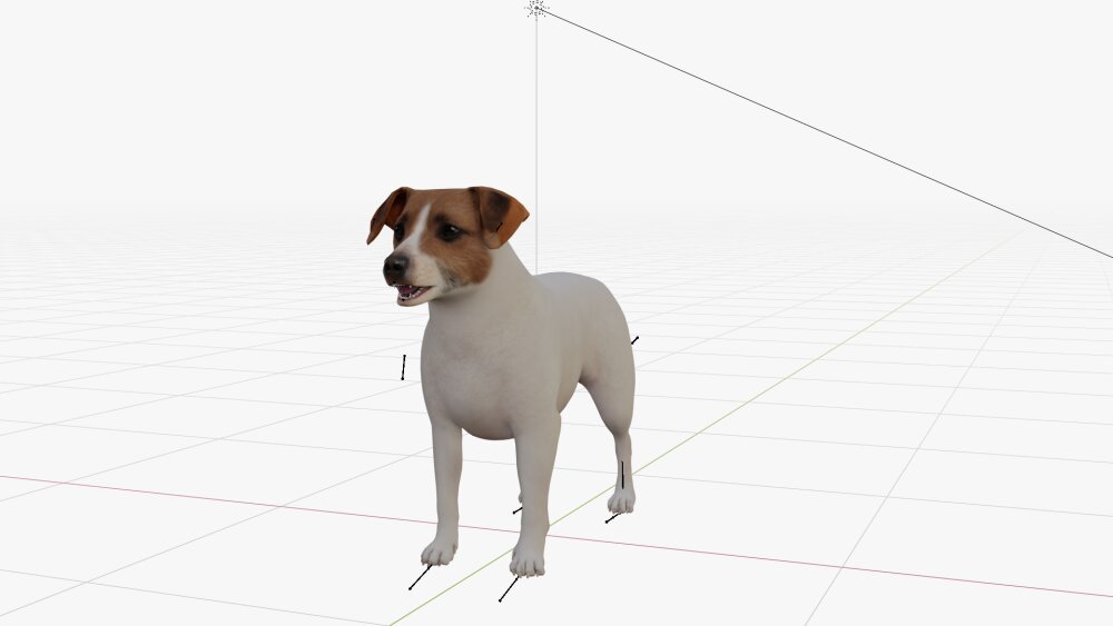 Jack Russell Terrier Dog 3D model - Download Mammals on 3DModels.org