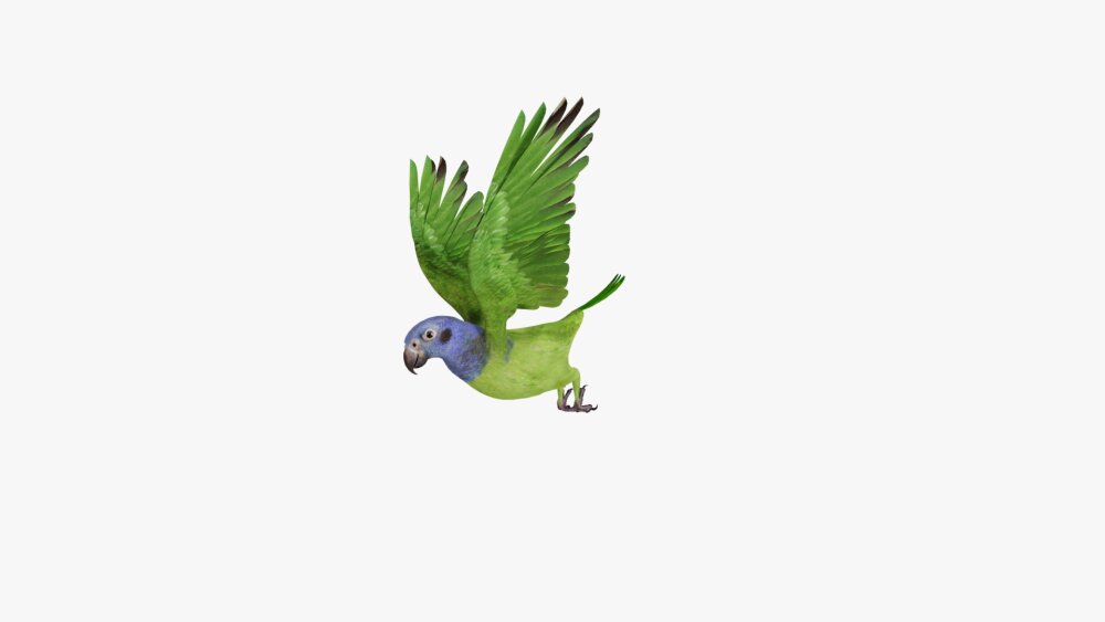 Blue Headed Parrot Bird 3D model - Download Birds on 3DModels.org