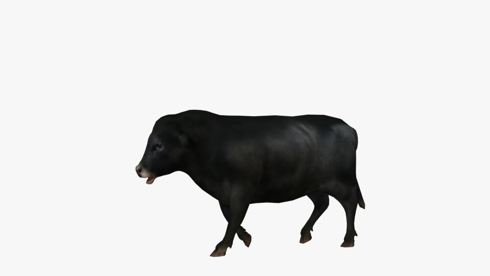 Galloway Cattle 3D model - Download Mammals on 3DModels.org