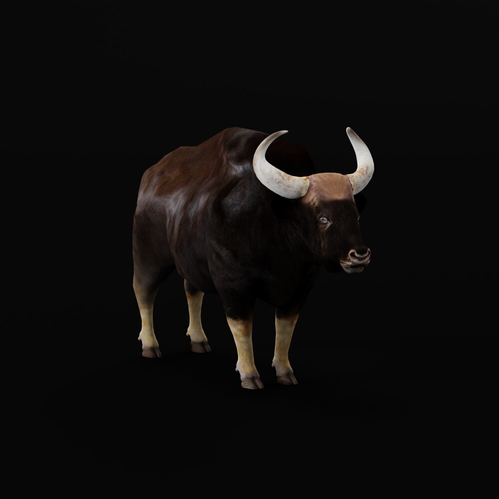 Gaur Indian Bison 3D model - Download Mammals on 3DModels.org