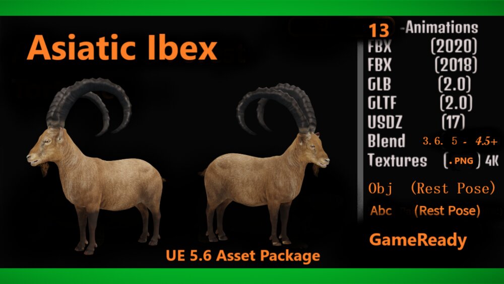 Asiatic Himalayas Ibex 3D model - Download Mammals on 3DModels.org