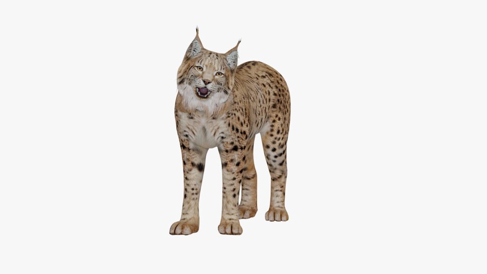 Eurasian Lynx 3D model - Download Mammals on 3DModels.org