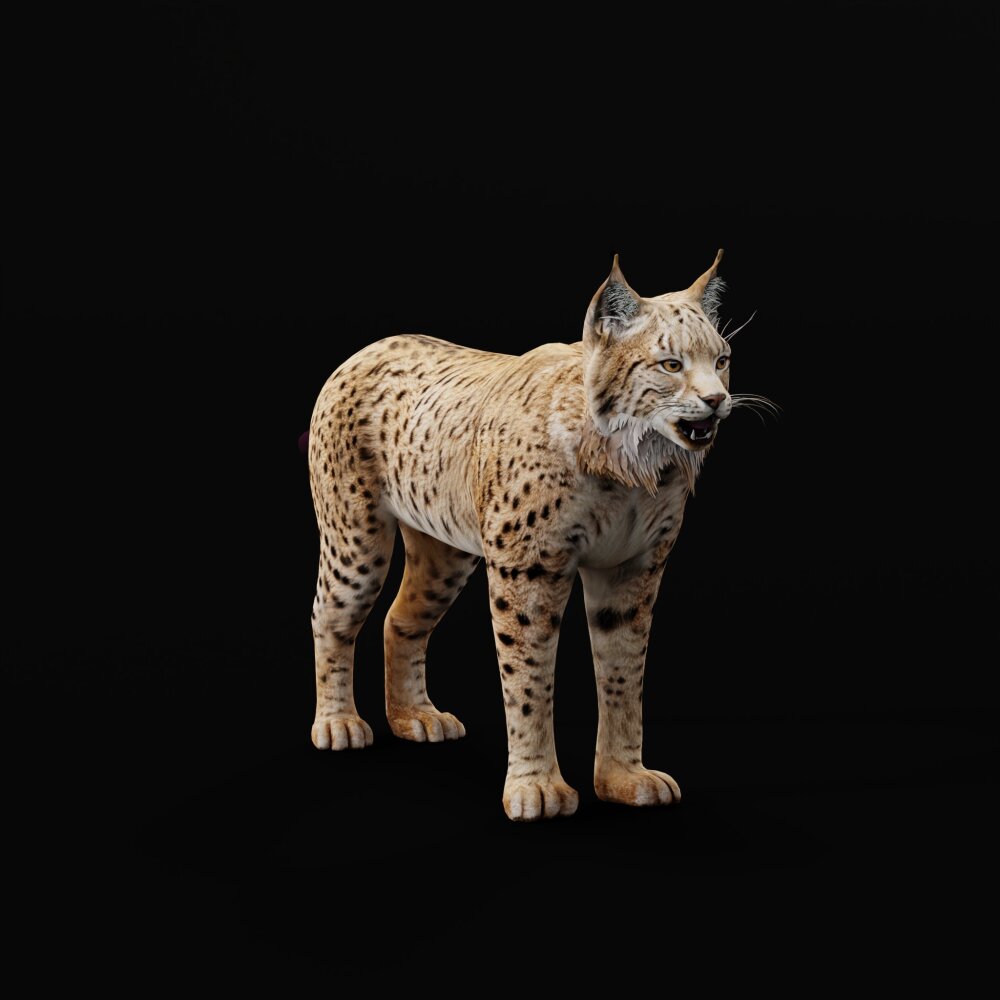 Eurasian Lynx 3D model - Download Mammals on 3DModels.org