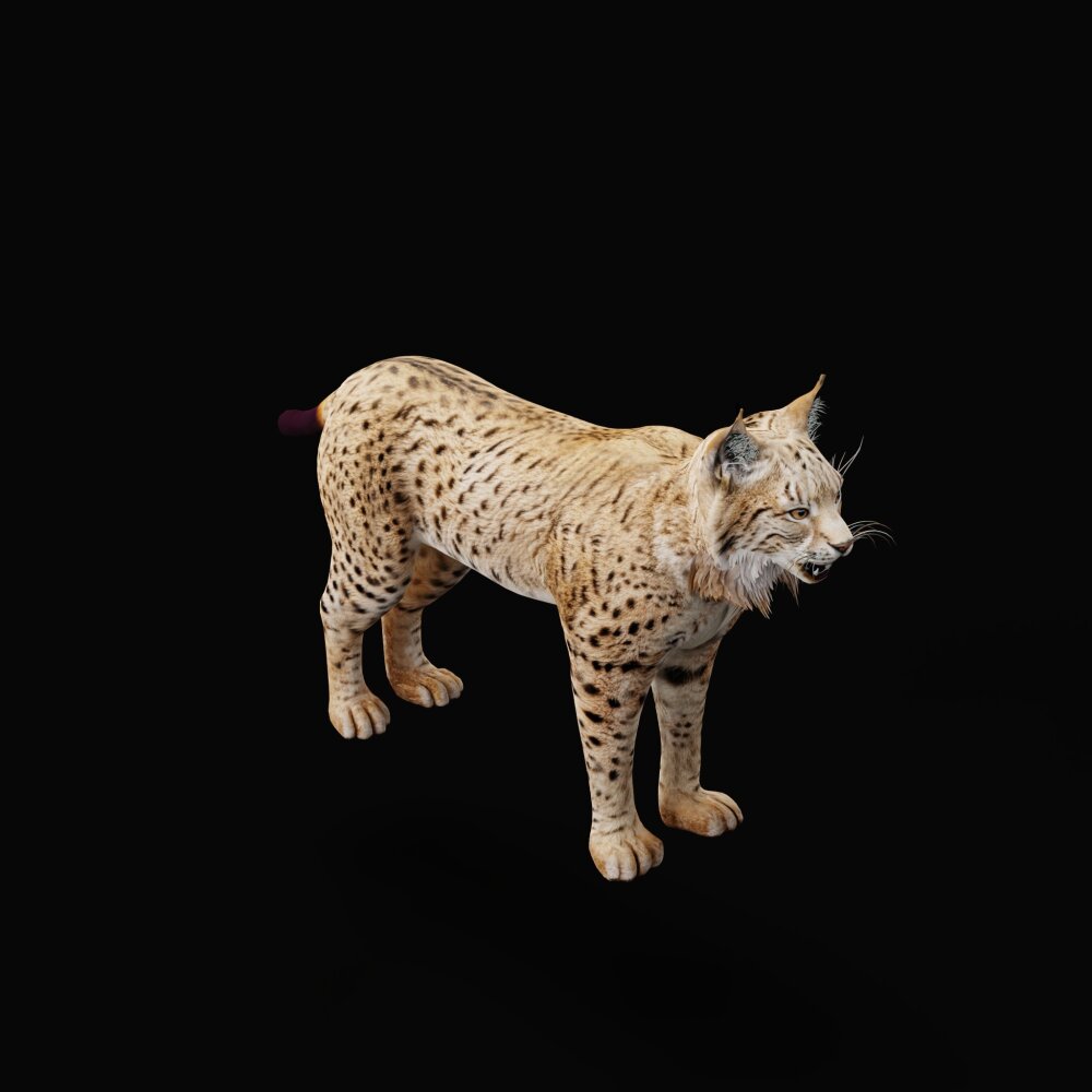 Eurasian Lynx 3D model - Download Mammals on 3DModels.org