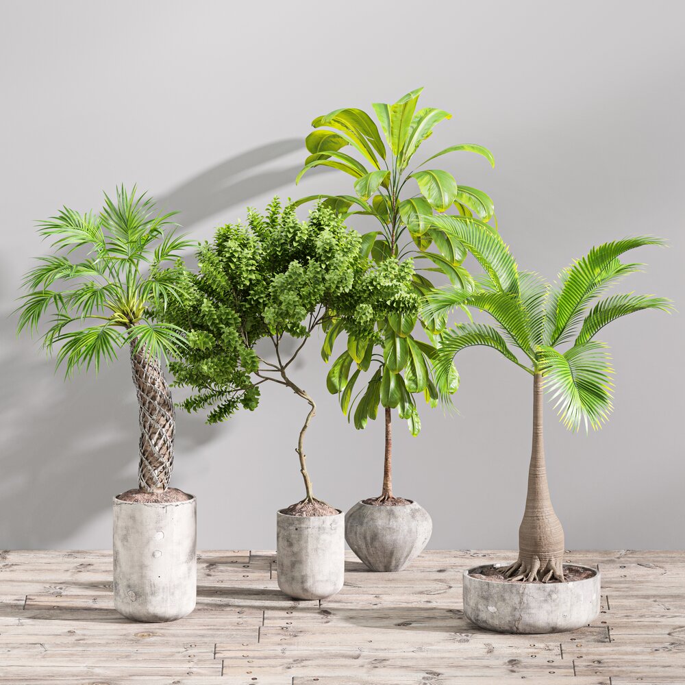Indoor Plant Tree Leaf Set 3D model - Download Trees on 3DModels.org