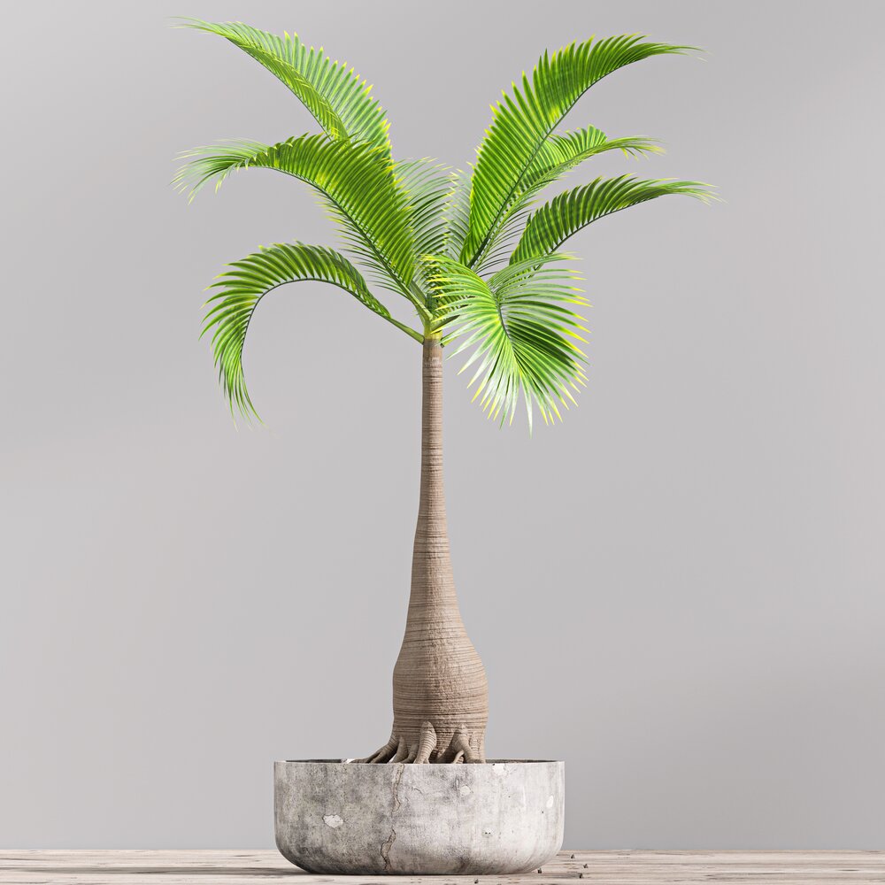 Indoor Plant Tree Leaf Set 3D model - Download Trees on 3DModels.org
