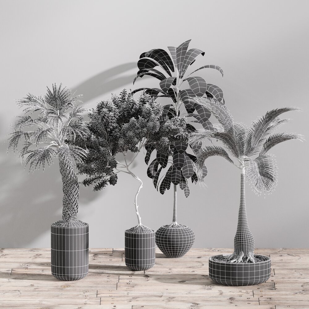 Indoor Plant Tree Leaf Set 3D model - Download Trees on 3DModels.org