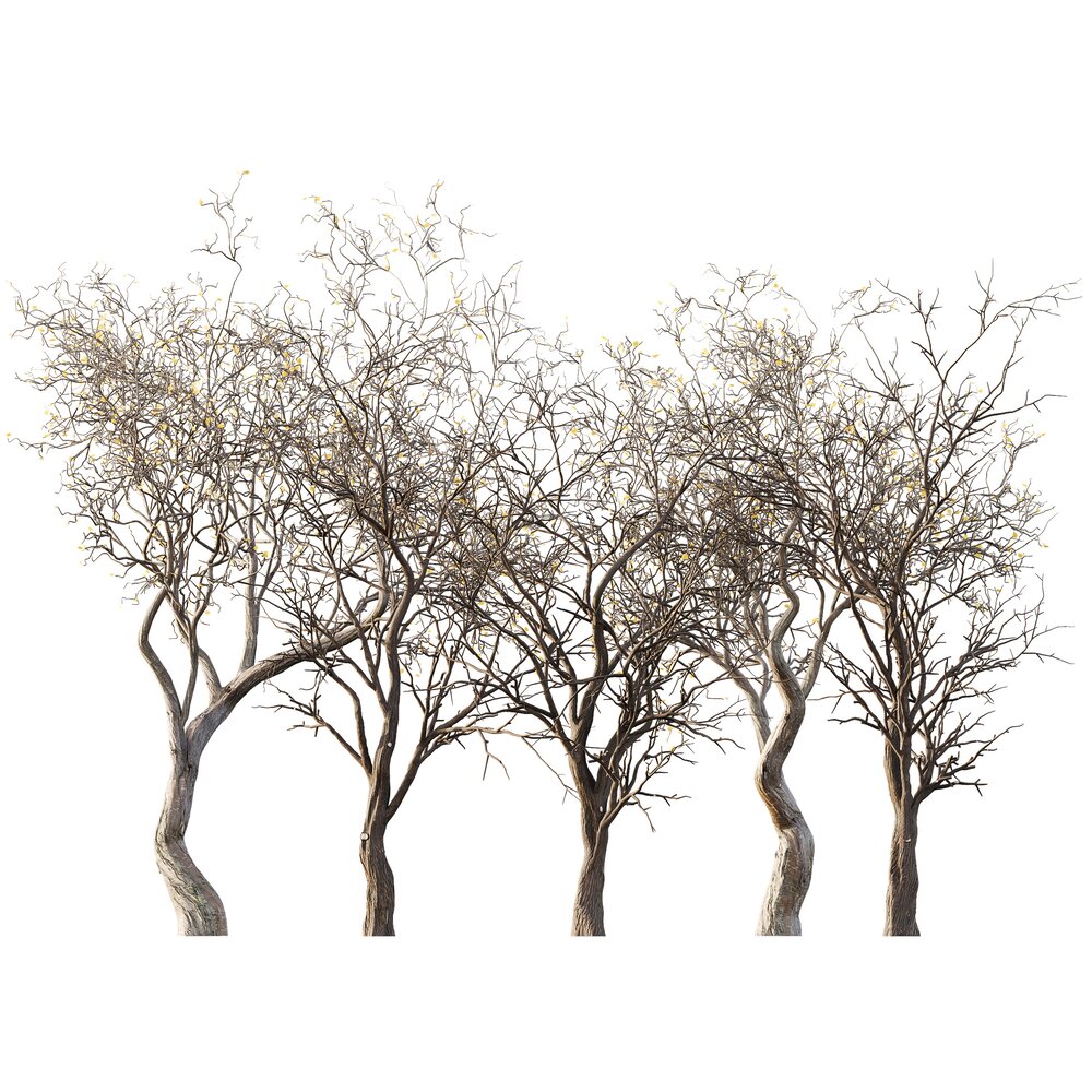 Winter trees 3D Models Download - 3DModels.org