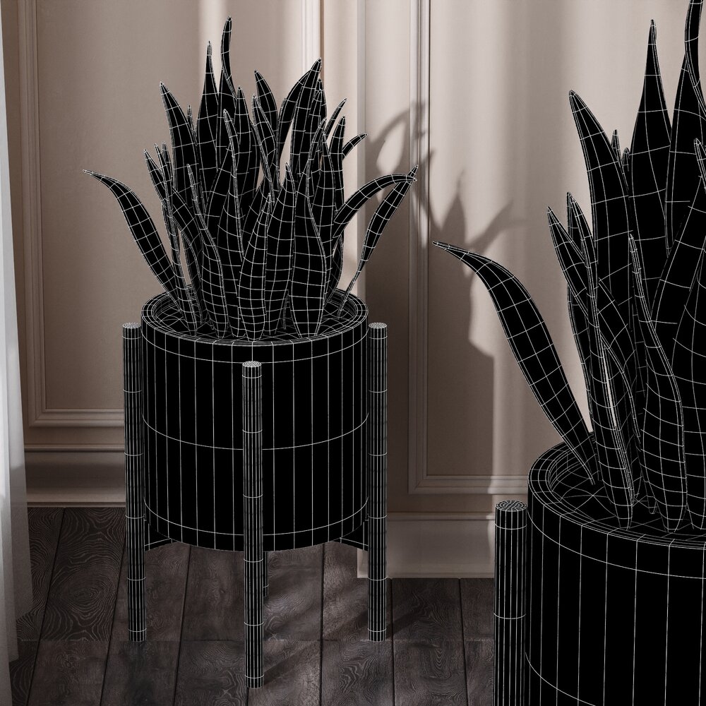 Office Plant Sanseveria Snake 3D model - Download Houseplants on ...