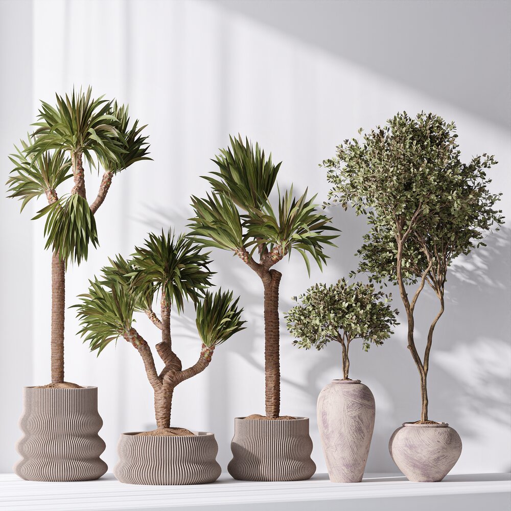 Yucca Elephantipes Plants with Decorative Ribbed Pots 3D model ...