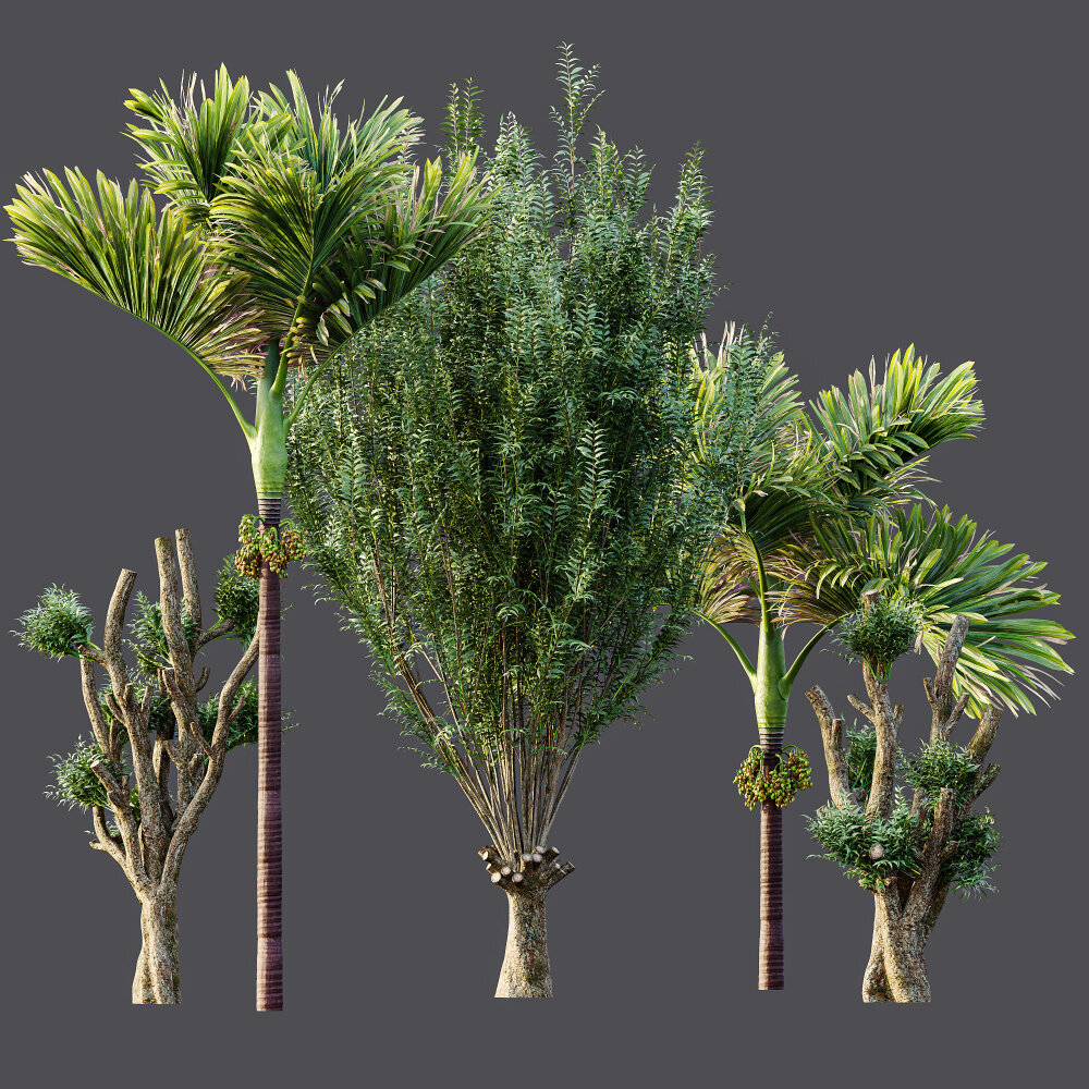 Pollard Willow and Areca Catechu Decorative Garden Fruit 3D model ...