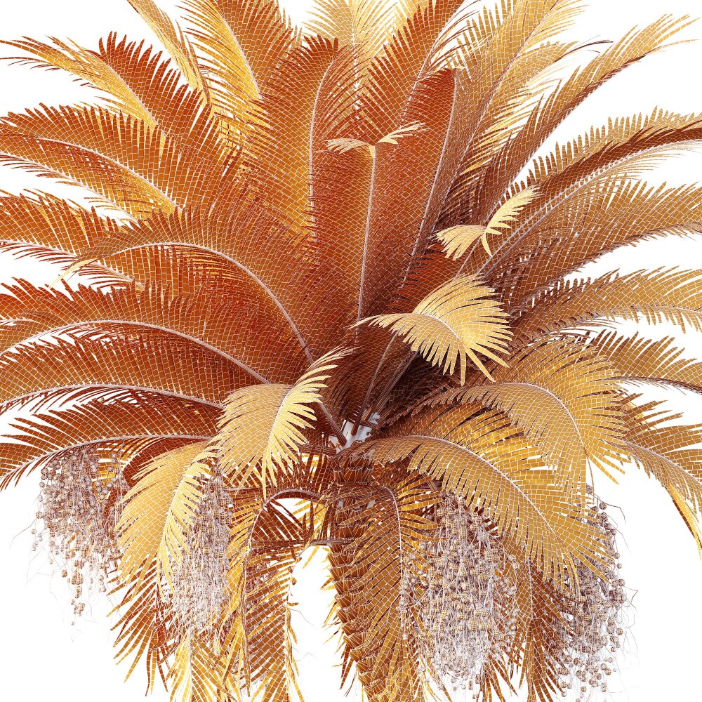 Fruit de Phoenix Sylvestris et Jardin de Phoenix Canariensis Modèle 3D ...