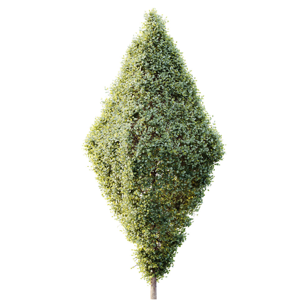 Geometrically Pruned Topiary Trees 3D model - Download Bushes on ...