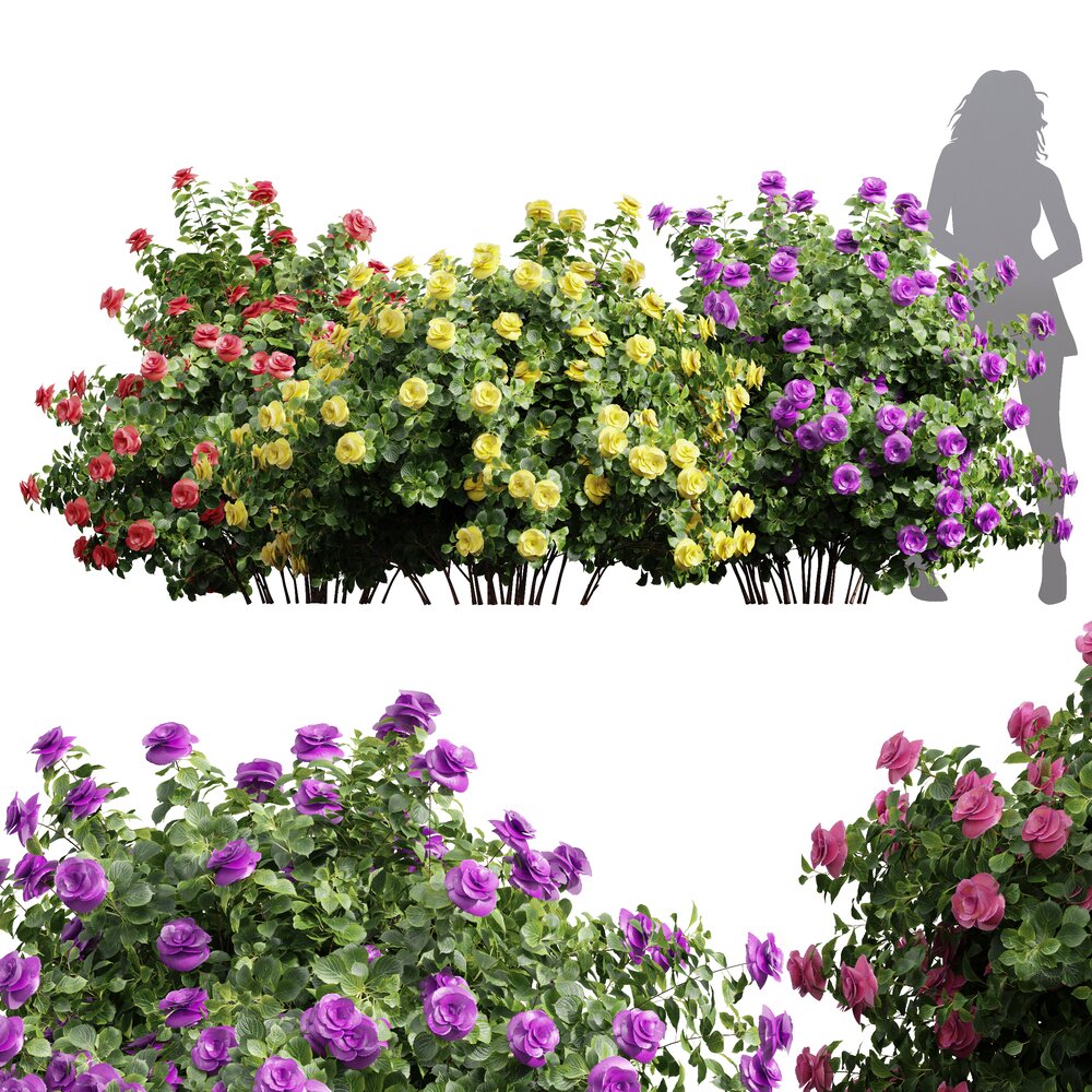 High Detail Climbing Roses Bush 3D model - Download Bushes on 3DModels.org