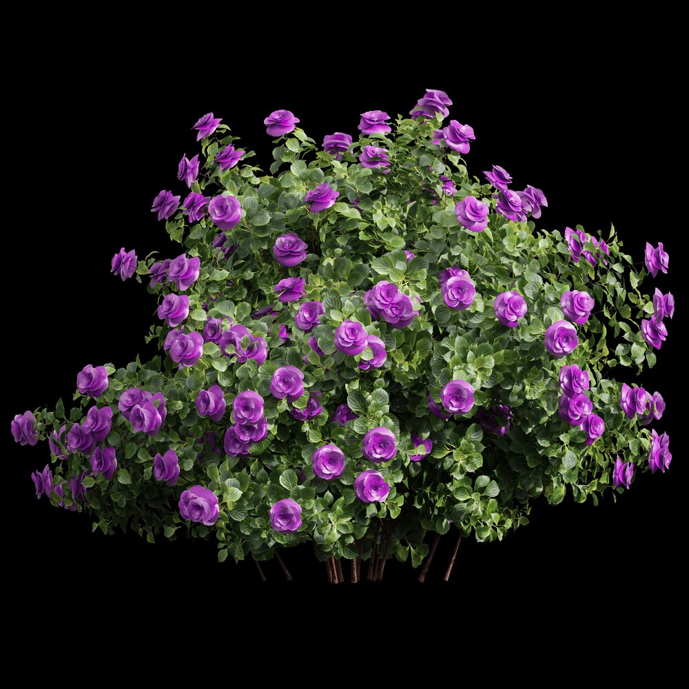 High Detail Climbing Roses Bush 3D model - Download Bushes on 3DModels.org