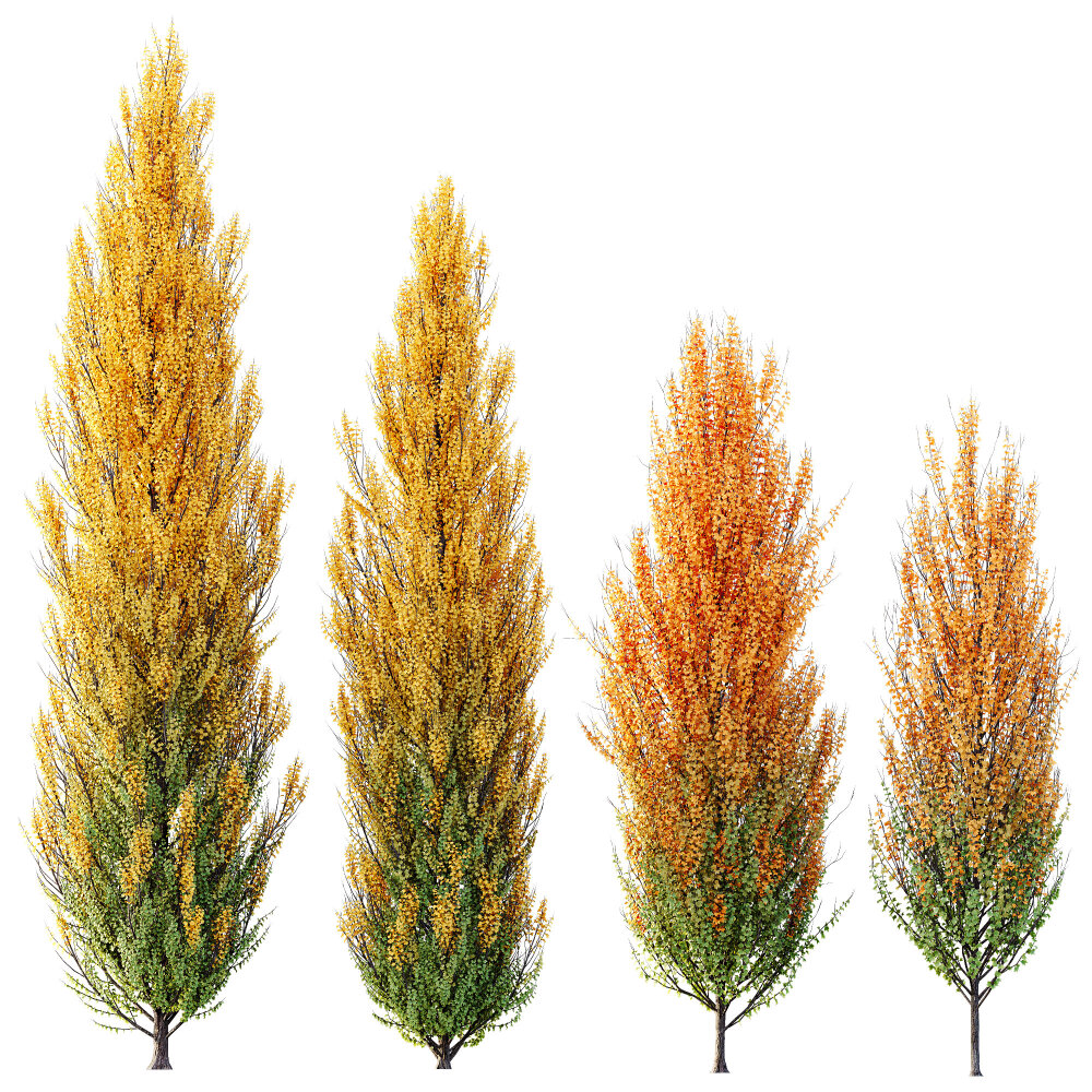 Freeman Maple with Varied Autumn Foliage 3D model - Download Trees on ...