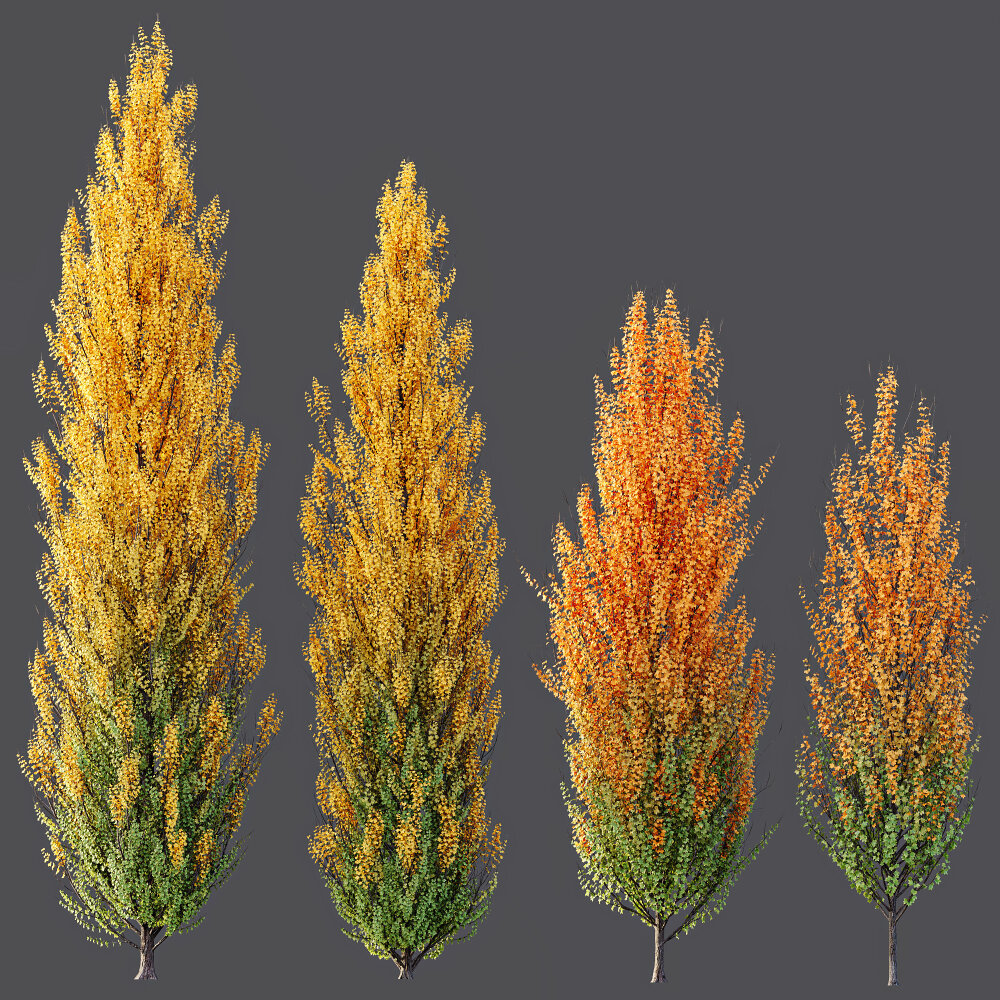 Freeman Maple with Varied Autumn Foliage 3D model - Download Trees on ...