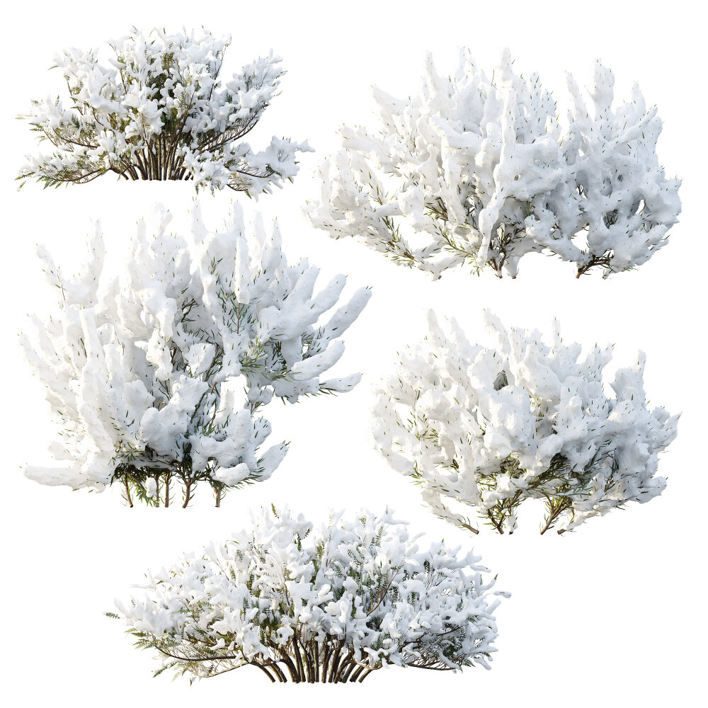 Snow Wild Erica Multiflora and Snow Juniperus Sabina 3D model ...