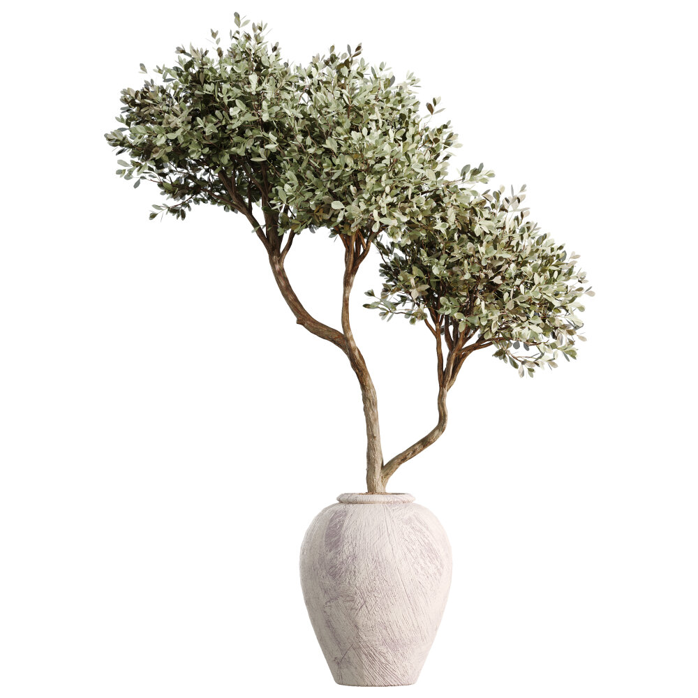 AV Indoor Plants Set 473 Yucca Calathea Lutea Sansevieria Olive 3D ...