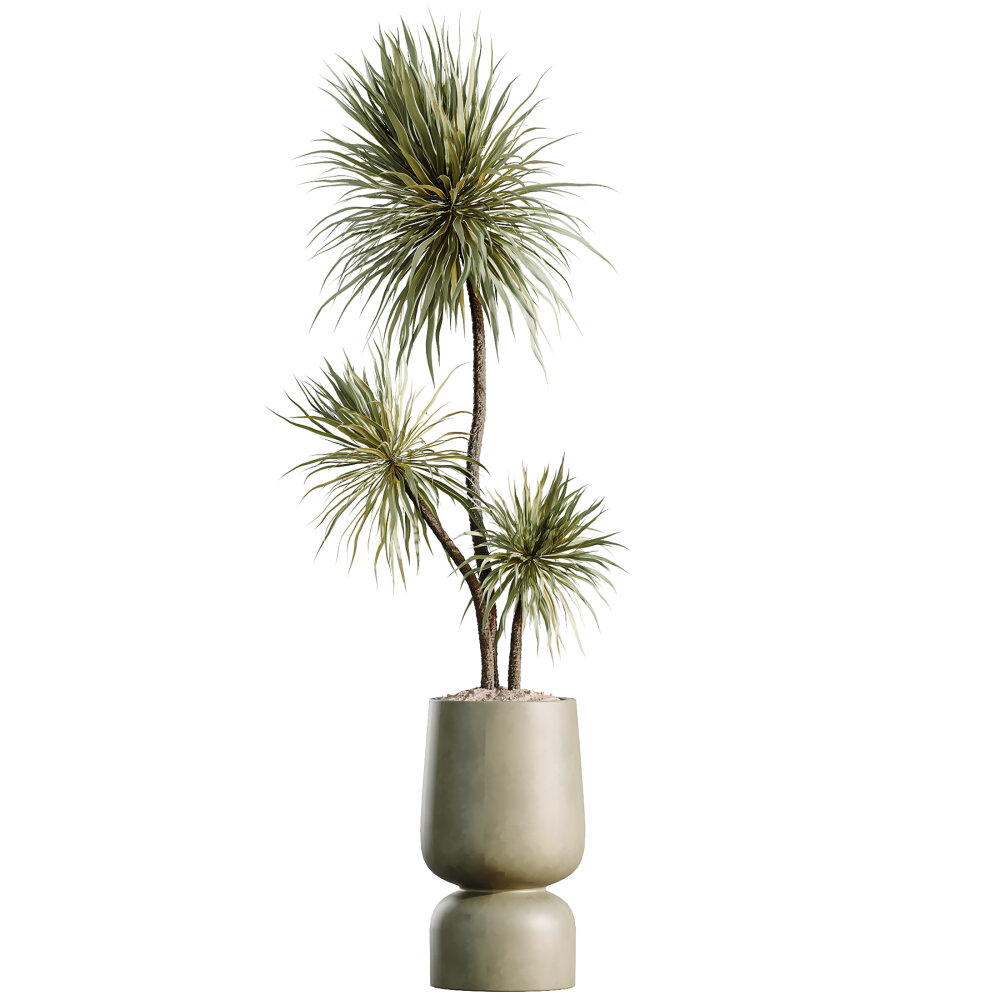 AV Indoor Plants Set 473 Yucca Calathea Lutea Sansevieria Olive 3D ...