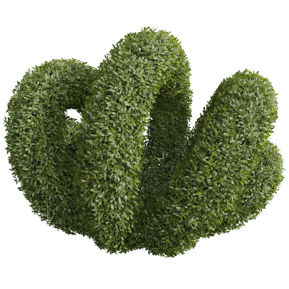 Spiral Topiary Privet with Knot Shapes 3D model - Download Bushes on ...