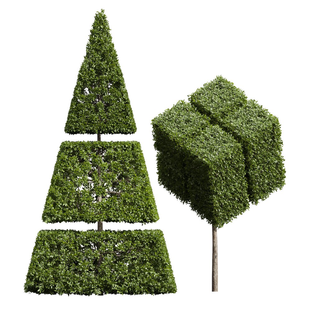 Conical and Cubic Topiary Privet with Geometric Shapes 3D model ...