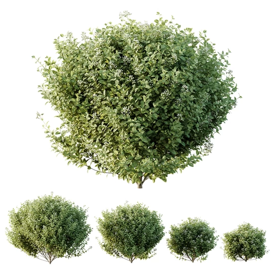 Bush 3D models for Download - 3DModels.org