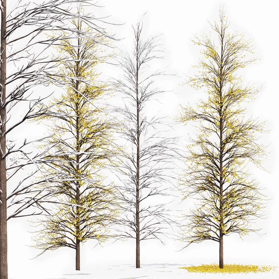 Winter trees 3D Models Download - 3DModels.org